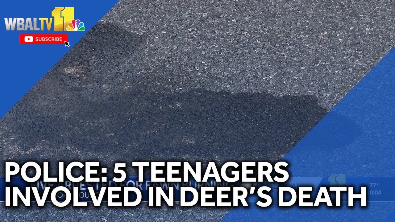 Police: 3 juveniles charged, 2 adults arrested after deer found dead ...