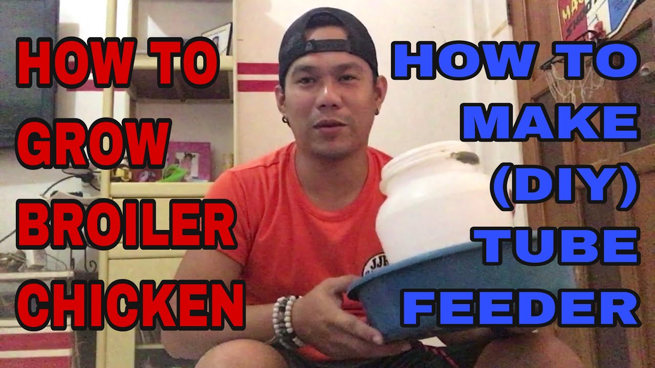 HOW TO MAKE (DIY) TUBE FEEDER/ HOW TO GROW BROILER CHICKEN - YouTube