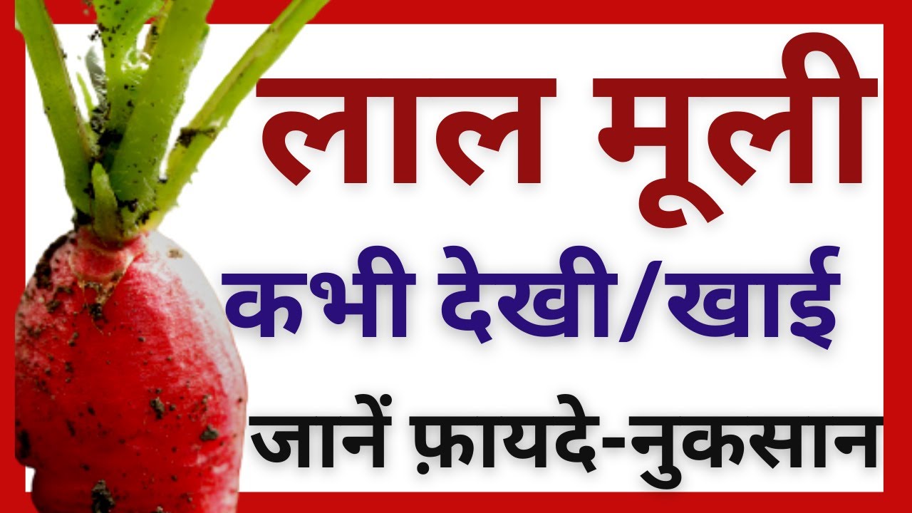 लाल मूली की खेती फ़ायदे और नुक्सान | Red Radish Benefits | Lal Muli Red ...