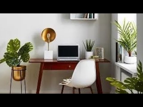 plant decor ideas around study table|अध्ययन मेज के चारों ओर पौधों की ...
