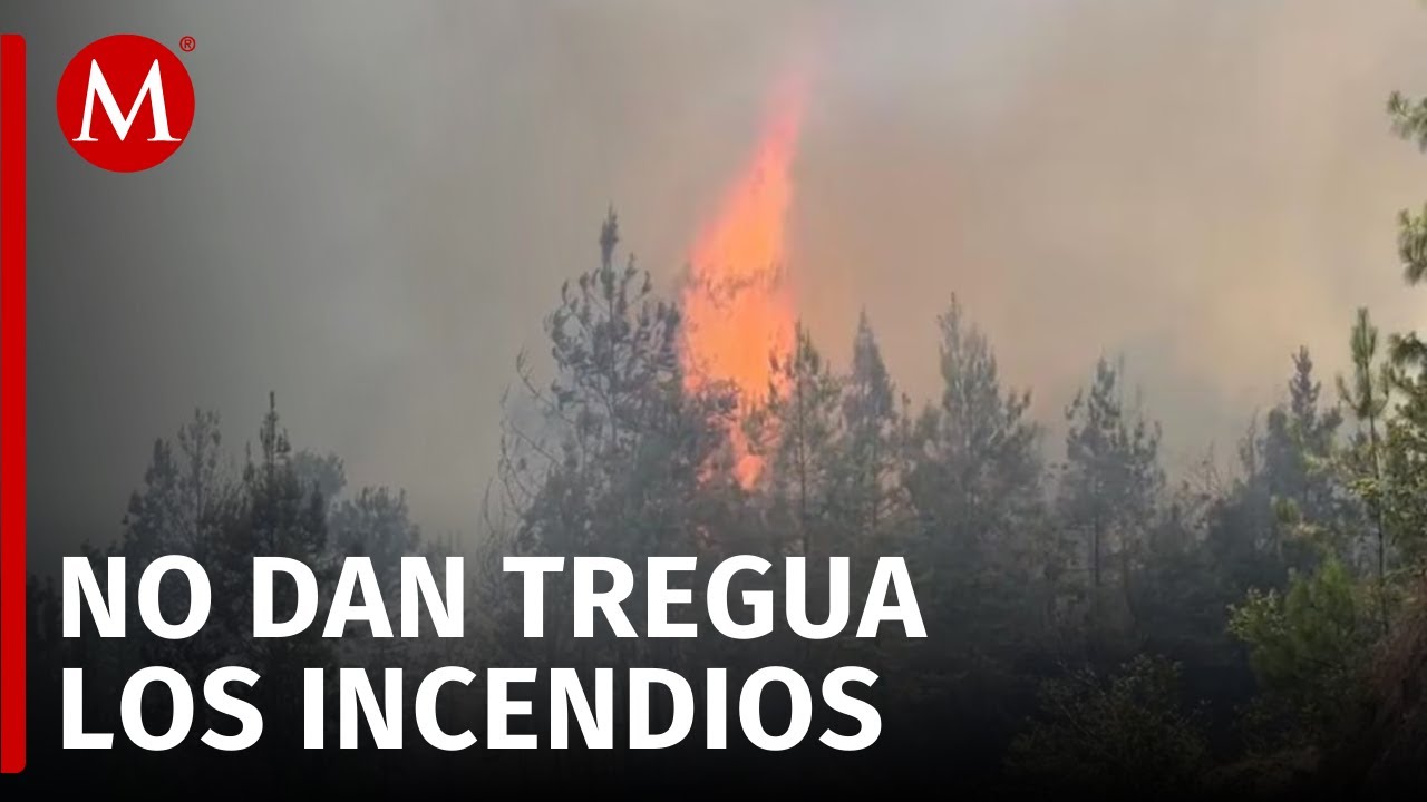 Incendios en Hidalgo se agravan por fuertes vientos y densas capas de ...