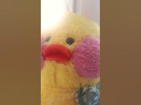 милая уточка - YouTube