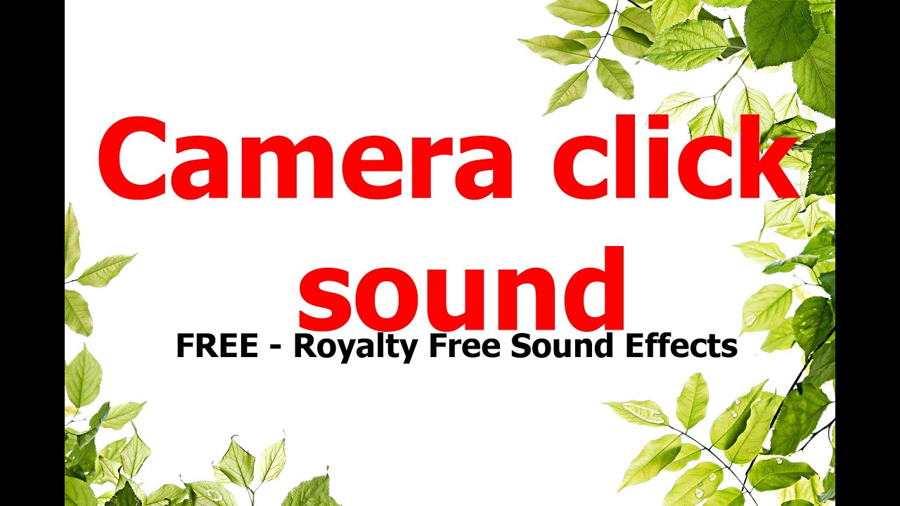 FREE - Royalty free Sound effects - Camera click sound - YouTube