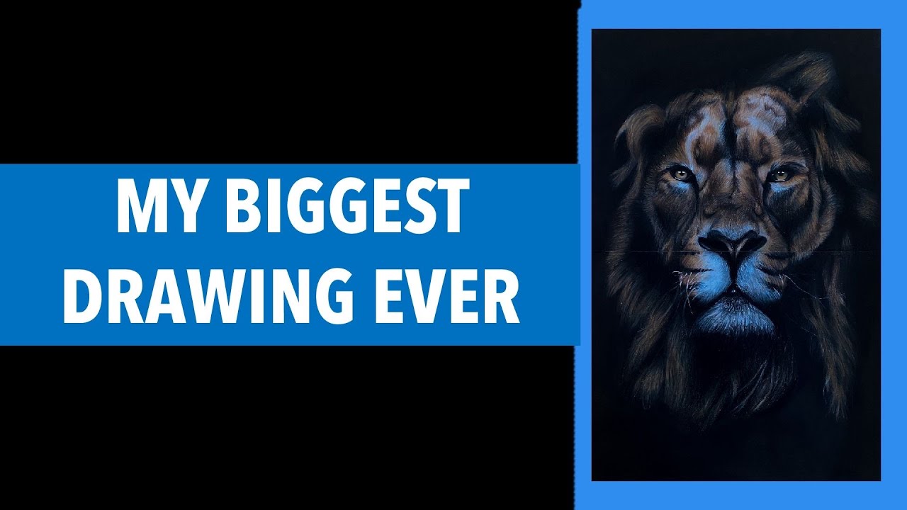 My Biggest Drawing Ever (25+ Hours) | Pawz Art - YouTube