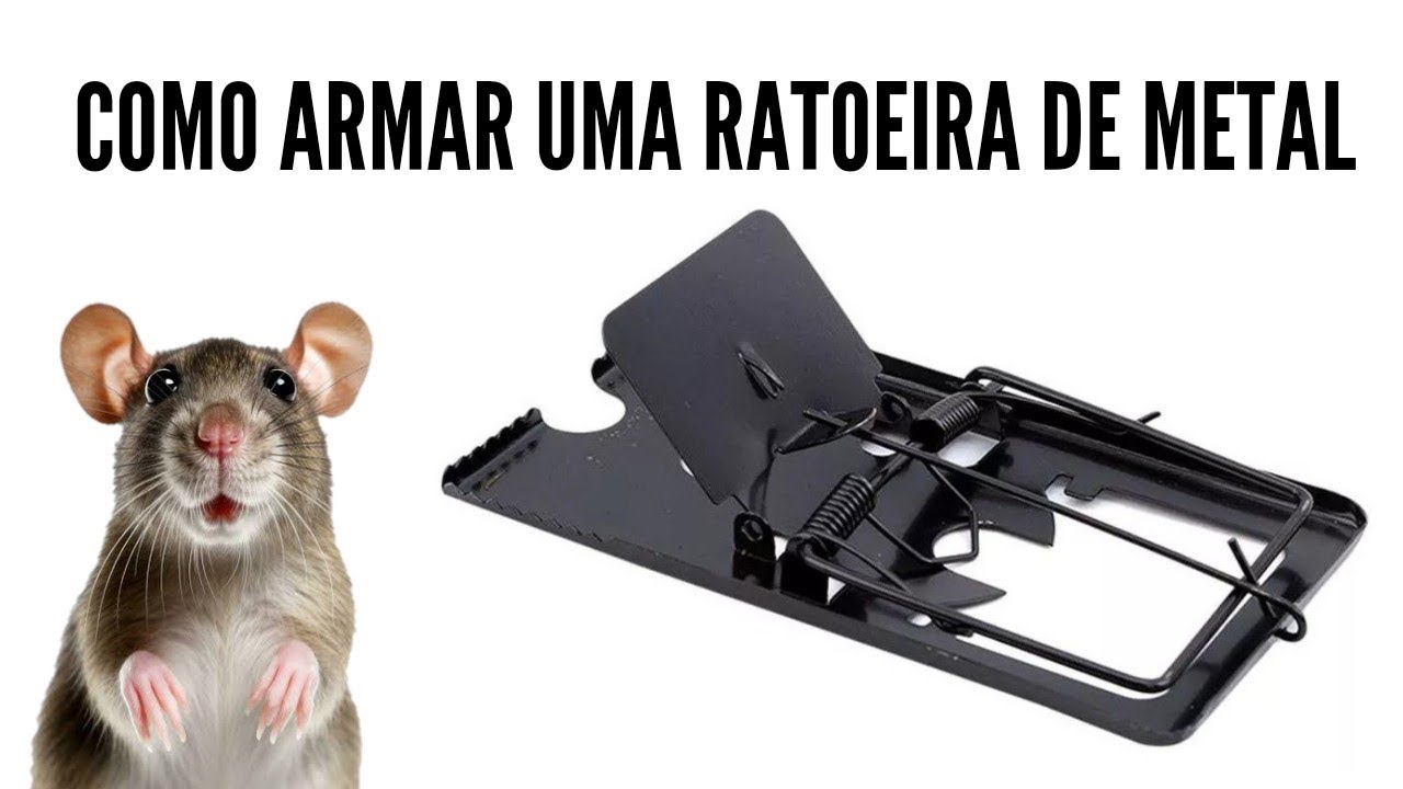 Dicas Simples para Armar uma Ratoeira de Metal para Capturar Ratos ...