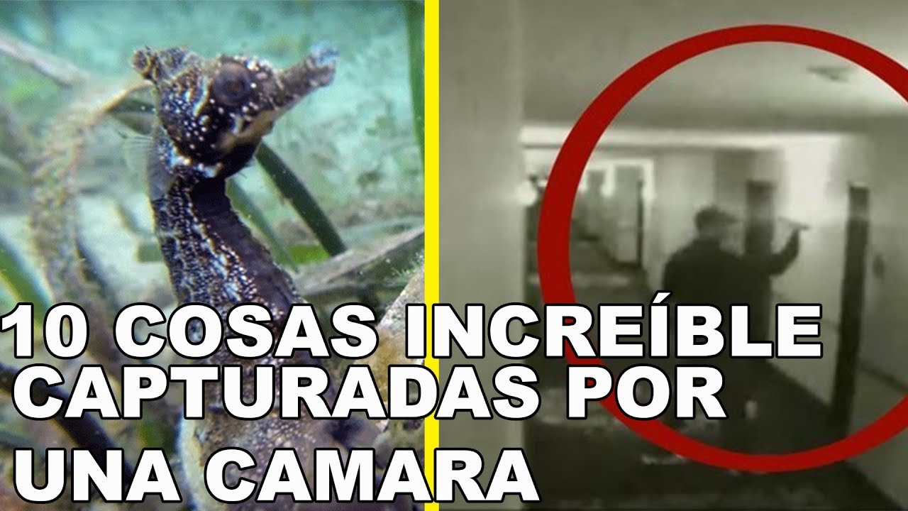 10 COSAS INCREÍBLES CAPTURADAS POR UNA CÁMARA - la Turca - YouTube