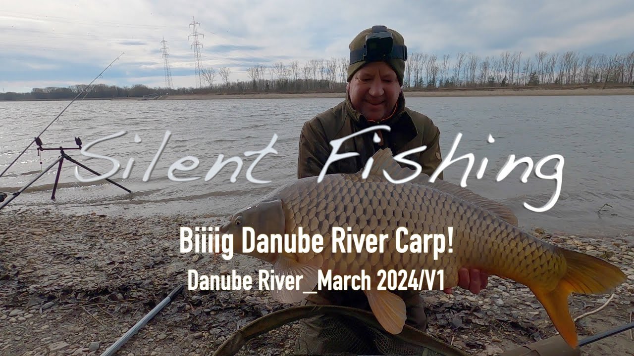 Biiiig Danube River Carp! First session in 2024_March 2024/V1 - YouTube