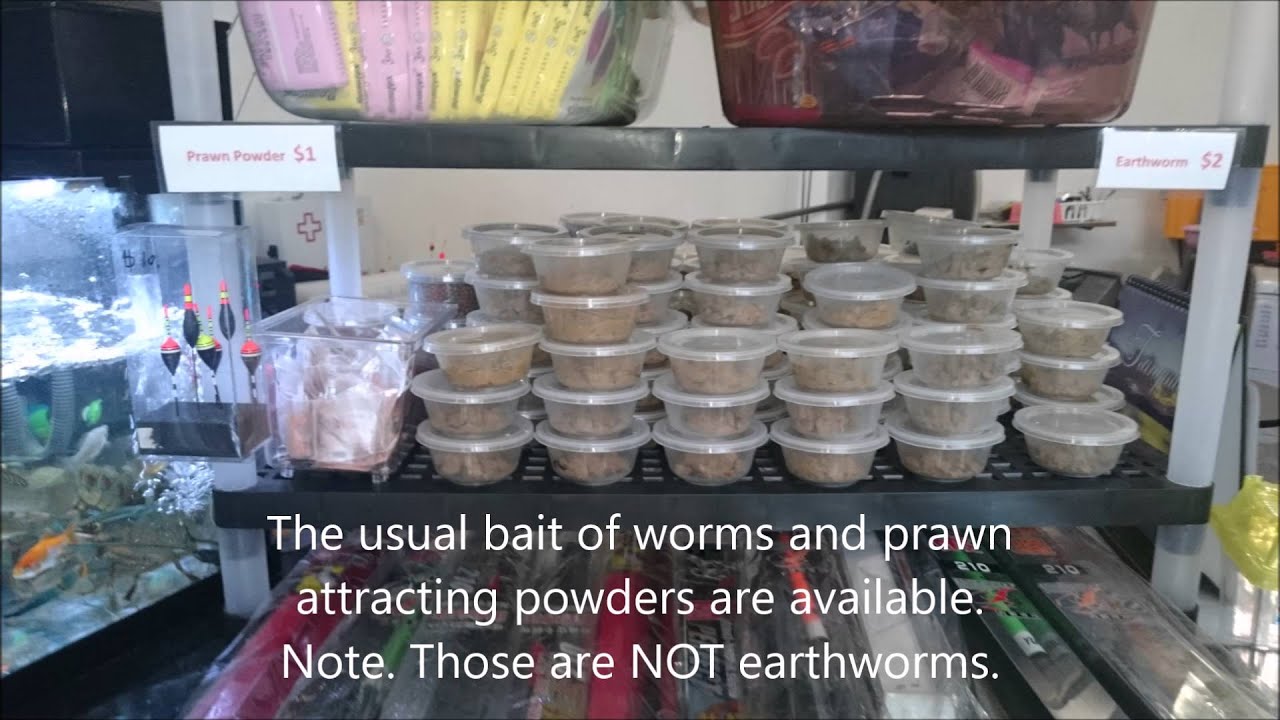 Prawn Fishing at Bugis+ - YouTube