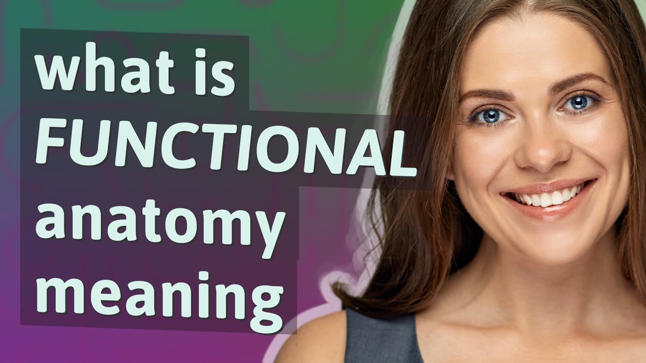 Functional Anatomy Meaning Of Functional Anatomy YouTube functional-anatomy-meaning-of-functional-anatomy-youtube