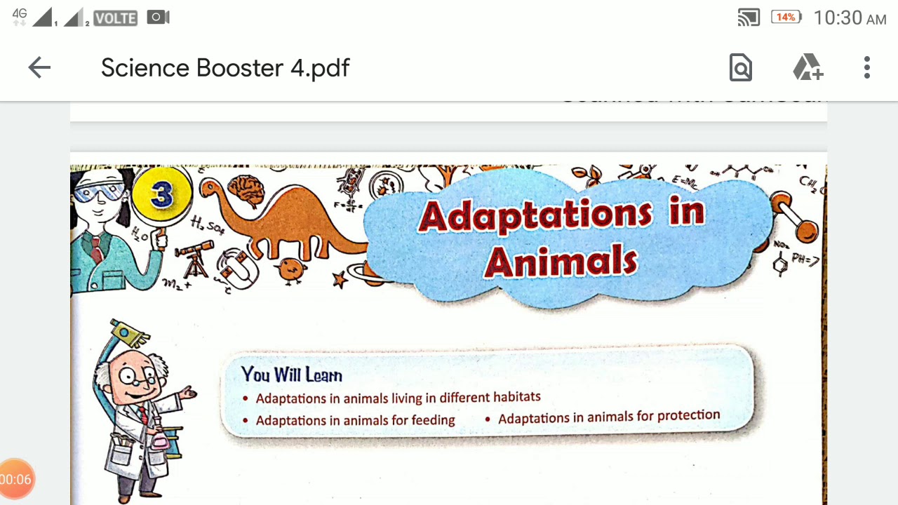 Ch-3:Adaptation in animals(class 4) - YouTube
