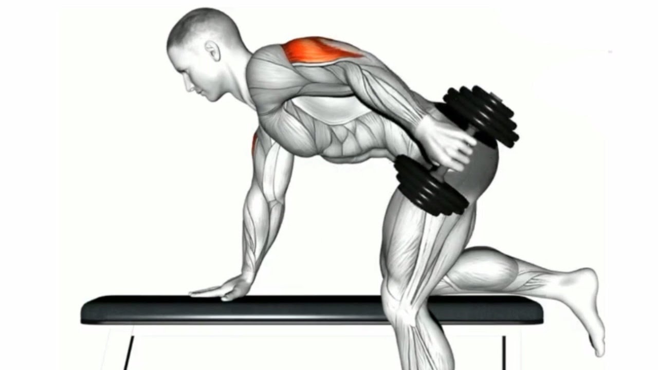 The Most Effective Exercises YouTube the-most-effective-exercises-youtube