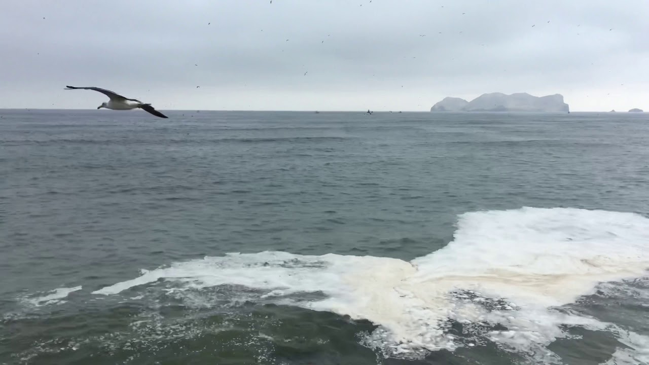 4K SCREENSAVER LIMA BEACH PERU PUNTA SEA VIEW RELAXING SOUNDS CALM ...