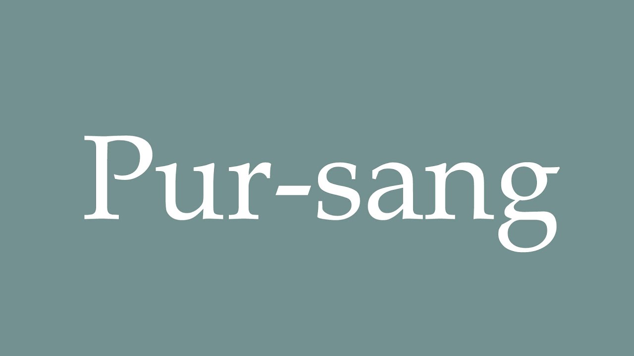 How To Pronounce Pur sang Purebred Correctly In French YouTube how-to-pronounce-pur-sang-purebred-correctly-in-french-youtube