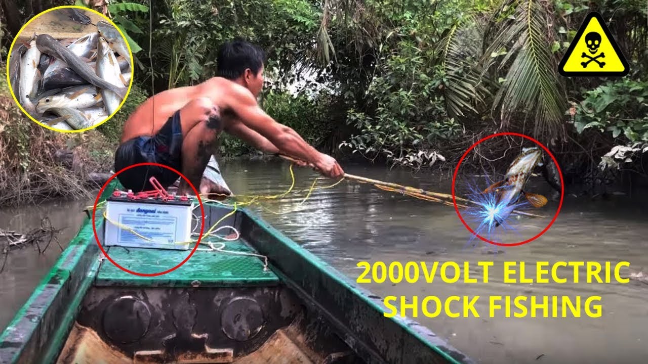 2000Volt ☠️ ☠️ Electric Fishing | Lot's of Big Fishing 2018 HD - YouTube