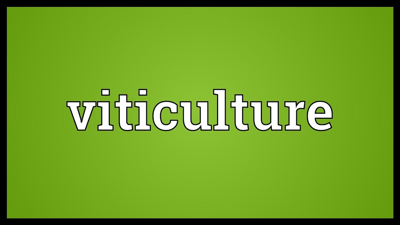 Viticulture Meaning - YouTube