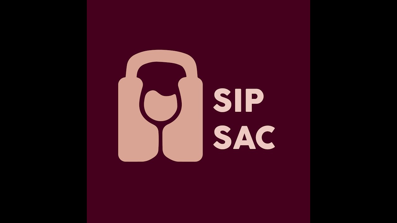 Sip Sac the Wine Bag - YouTube