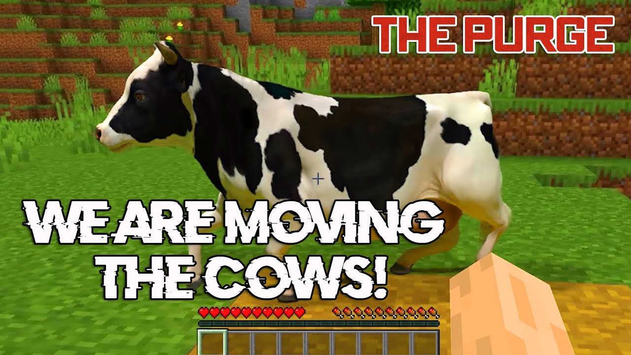 WE ARE MOVING THE COWS! | The Purge 2.0 Minecraft SMP Server - YouTube