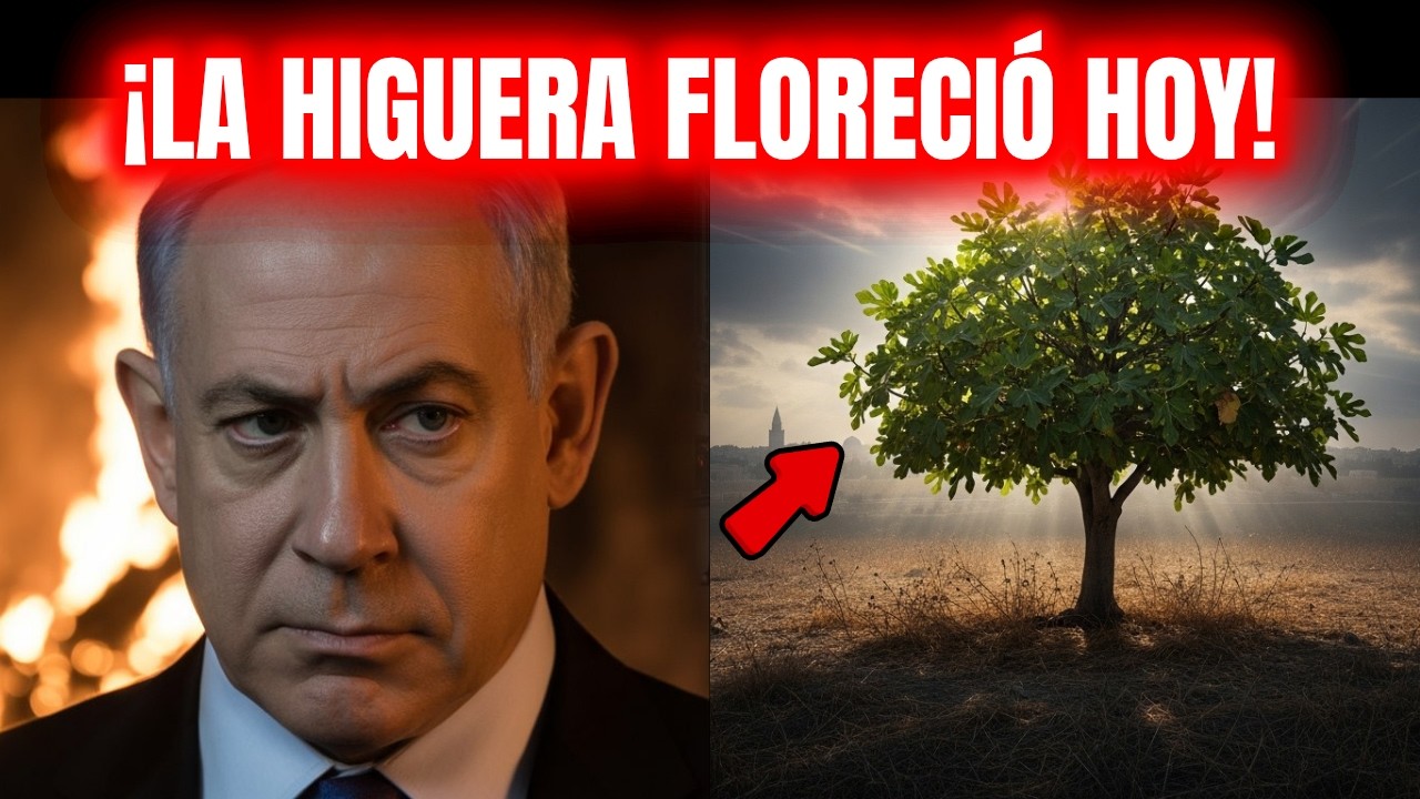 La Higuera floreció Hoy 🌿 Profecía del regreso de Jesús se cumple en ...
