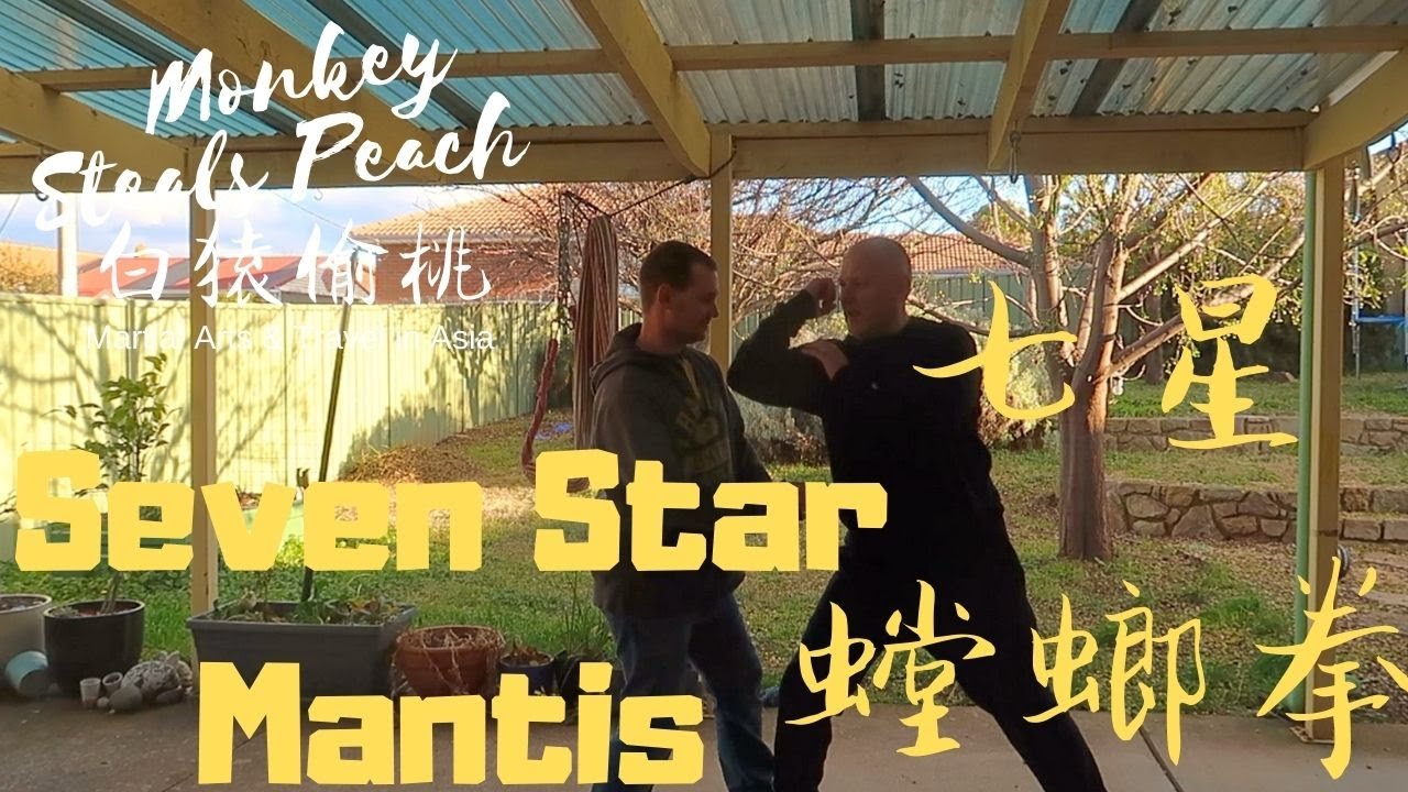 Seven Star Mantis - How is it Used? - YouTube