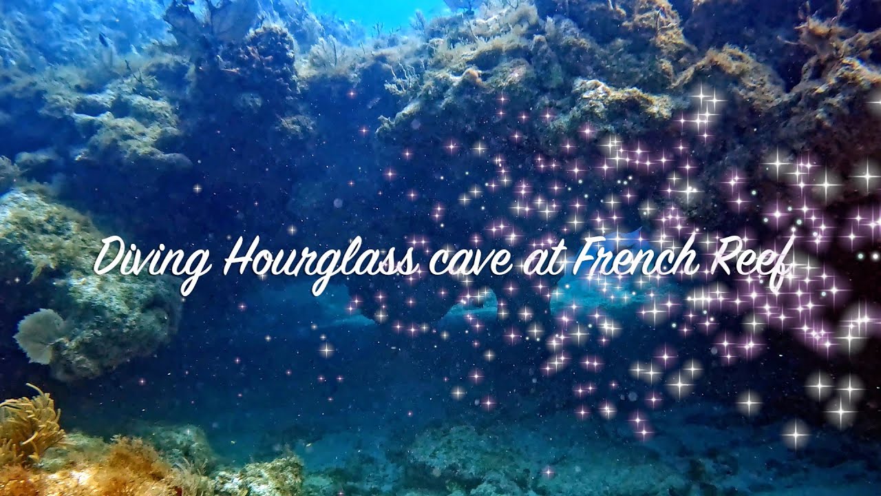 SCUBA Diving Hourglass Cave area of French Reef in Key Largo 4-12-24 ...