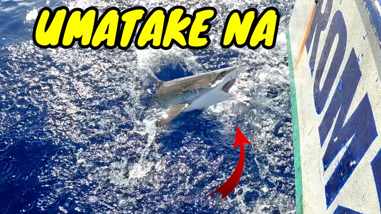 EP29 P36 Inatake na tayo ng mga Pating - YouTube