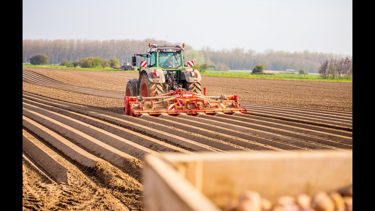 GRIMME GF 600 | 6-row Rotary Hiller - YouTube