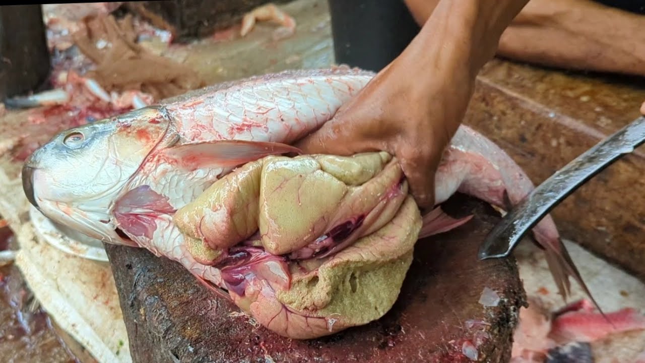 Fish Eggs Collections | Big Rohu Fish Cutting & Chopping By Expert Fish ...