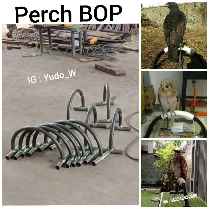 Perch BOP Tangkringan Burung Hantu Owl Elang dll (Wa : 0857-2800-0487 ...