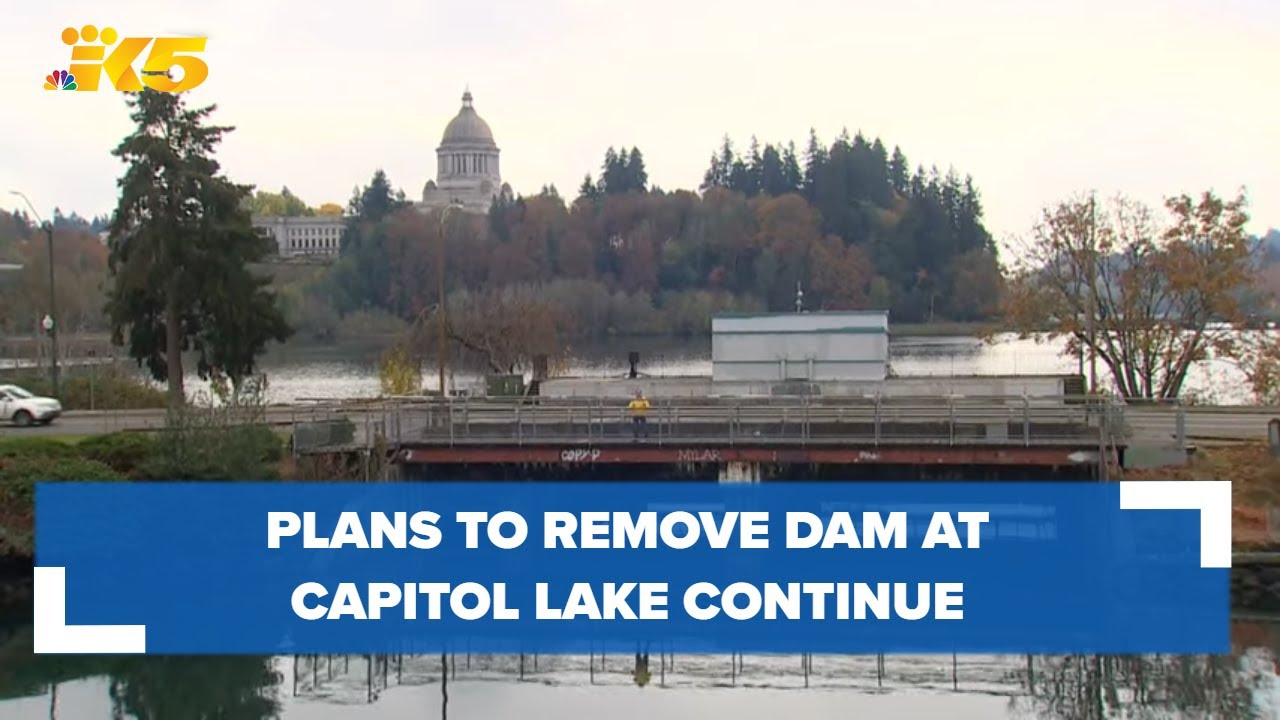 Plans to remove dam at Washington's Capitol Lake continue - YouTube