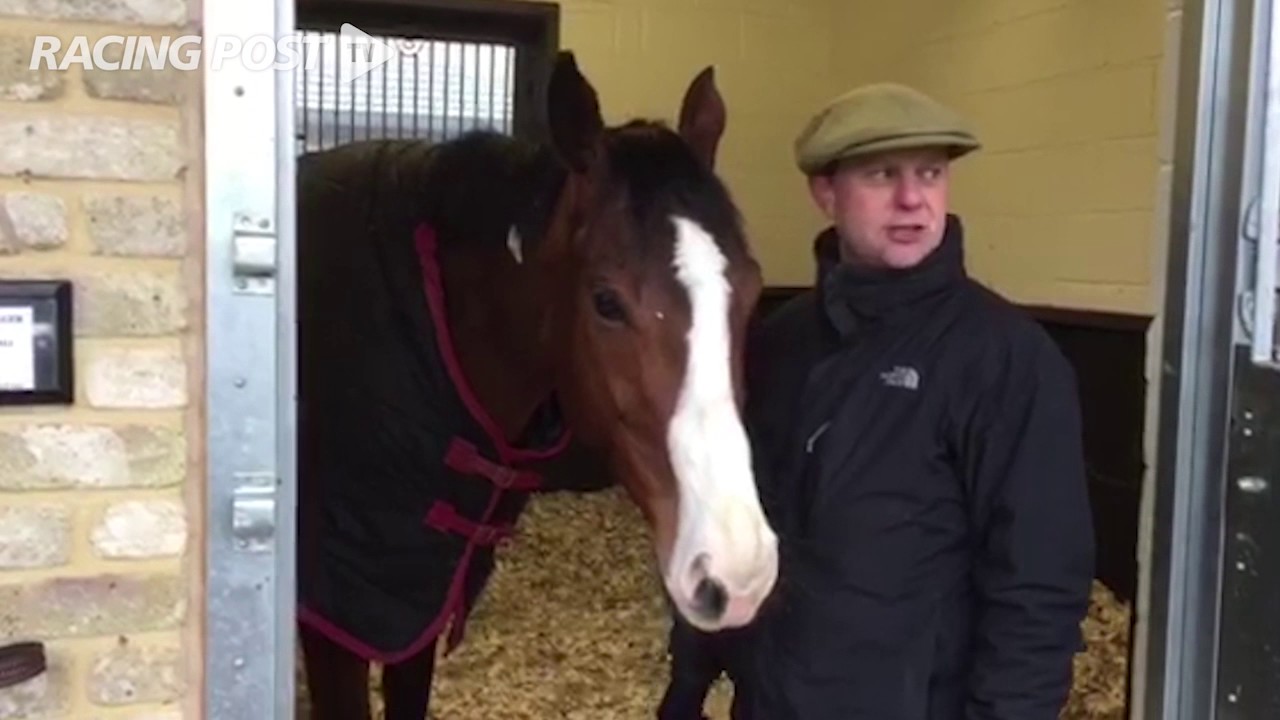 David Lanigan Interview - YouTube