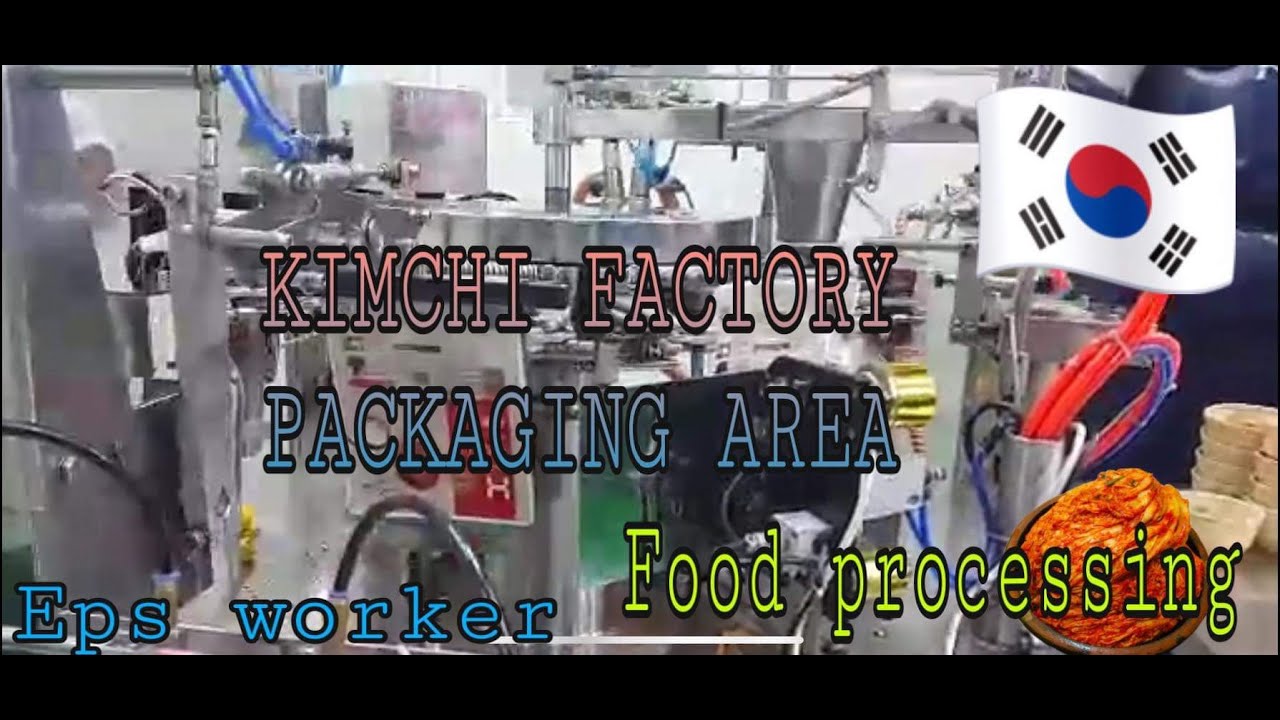 KIMCHI FACTORY PACKAGING AREA sample work in South korea eps/factory ...