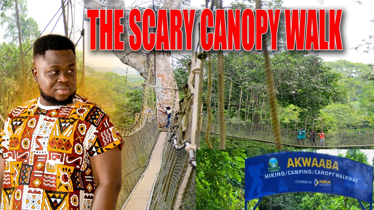 Scary Experience At The Kakum National Park - CANOPY WALKWAY - YouTube