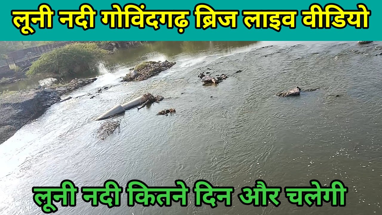 लूनी नदी गोविंदगढ़ ब्रिज लाइव वीडियो ।। लूनी नदी कितने दिन चलेगी ...