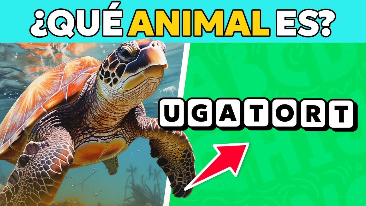 ¿Qué Animal Es? Adivina El Animal Con Letras Desordenadas 🦁 - YouTube