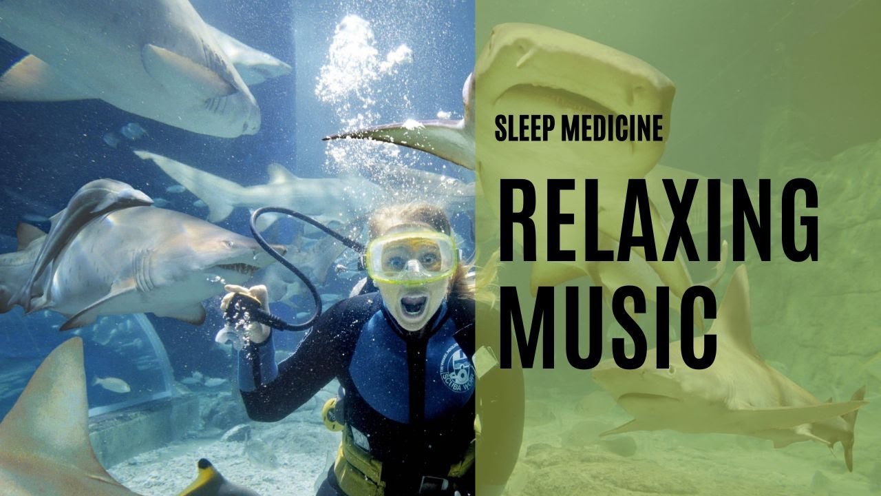 Beautiful Relaxing Music | Peaceful Piano Music & Guitar Music ...