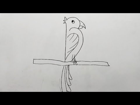 কাকাতুয়া পাখির ছবি | How to draw kakatua Bird drawing - YouTube