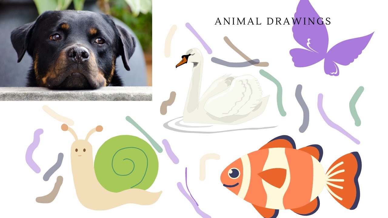 How to draw animals using paper - YouTube