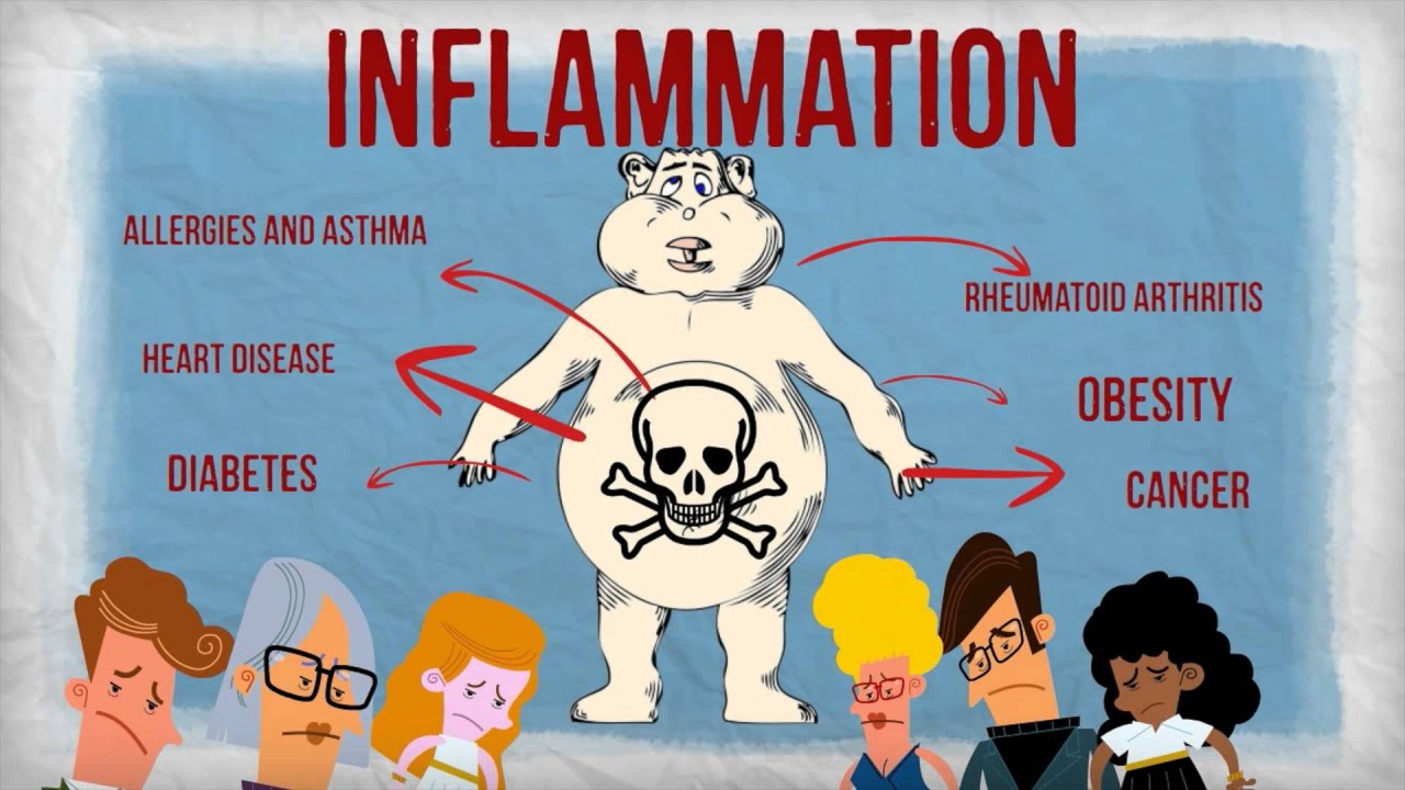 Meat Causes Disease Meat Less Episode 3 Of VegLife YouTube meat-causes-disease-meat-less-episode-3-of-veglife-youtube