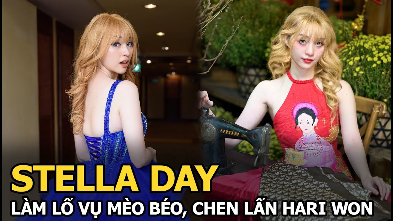 Stella Day: Làm lố vụ Mèo Béo, chen lấn Hari Won - YouTube
