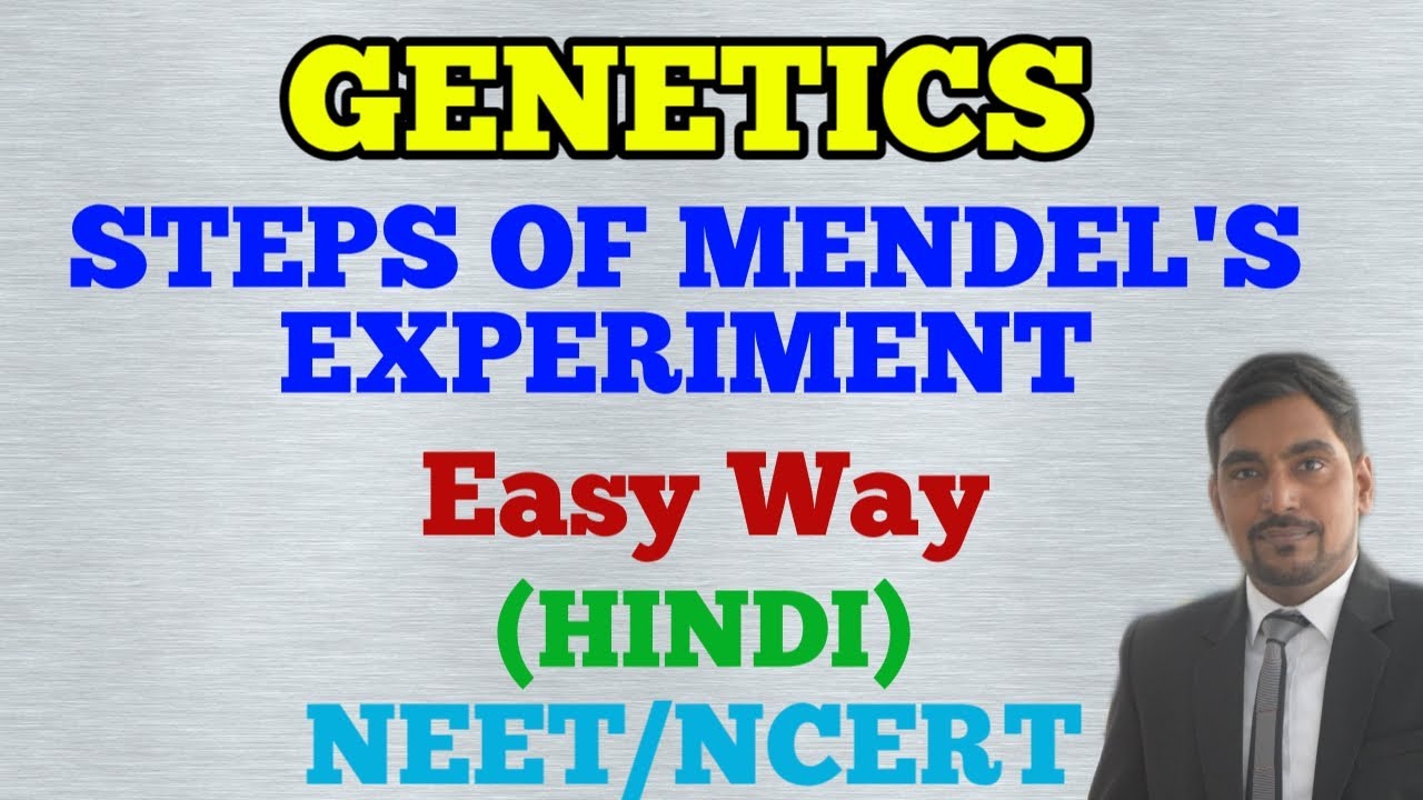 Steps Of Mendel's Experiment (Easy way) | Genetics - YouTube