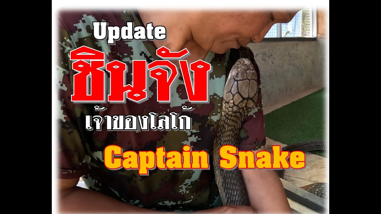 อัพเดทเจ้าของโลโก้ Captain Snake ชินจังงัย #กัปตันงู #กัปตันสเน็ก - YouTube