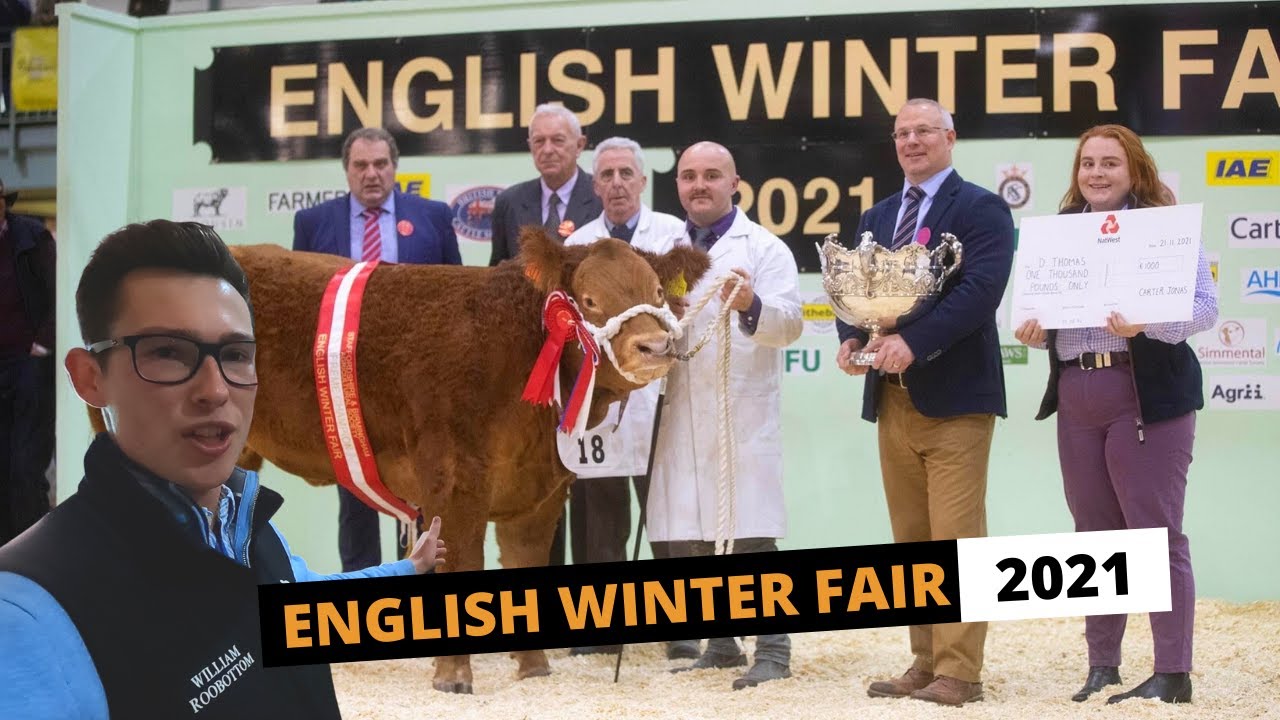 THE BIGGEST FATSTOCK SHOW IN ENGLAND | THE ENGLISH WINTER FAIR 2021 ...