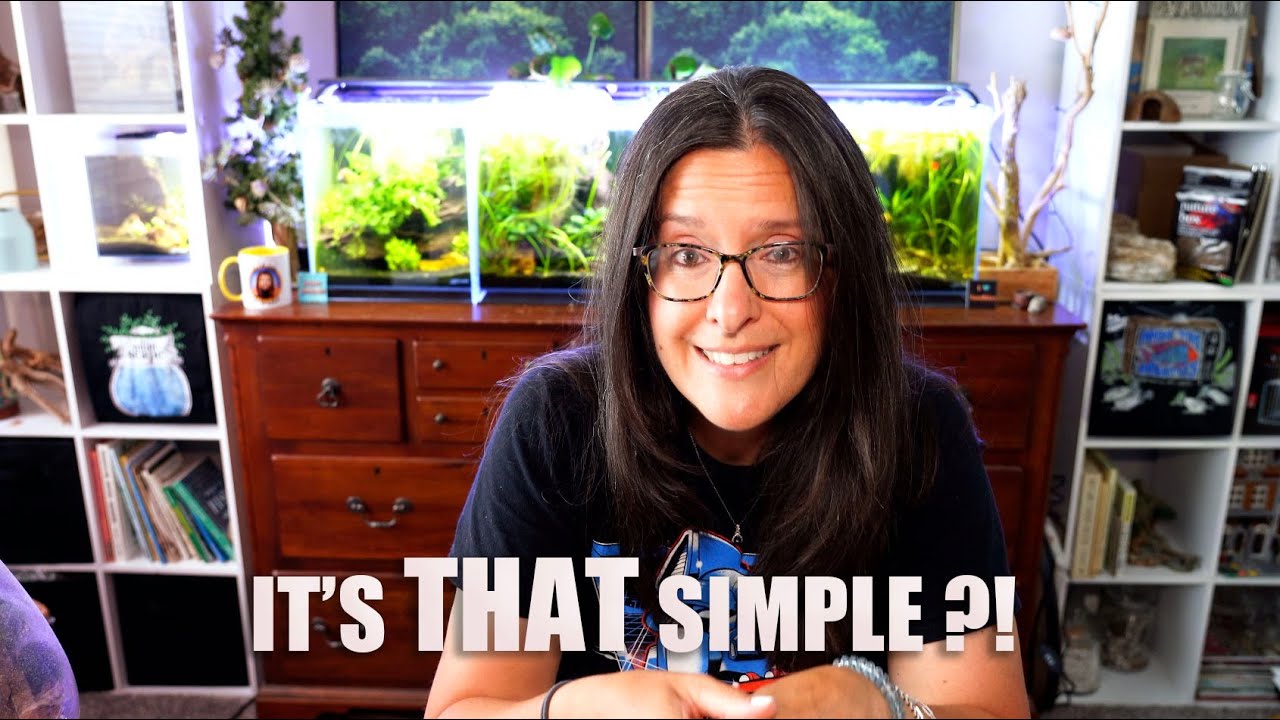 NO Tech - NEARLY NO Tech - Tiny Tank Options to Keep Just About ...