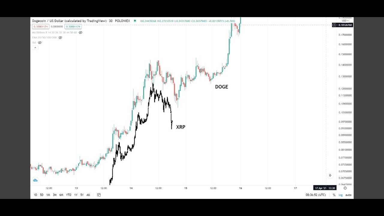 도지코인 다음차례는 리플xrp 가 될것 암호화폐 비트코인 스텔라 에이다 넴 심볼 스파크토큰 Flr Xdc 신핀네트워크 플레어
