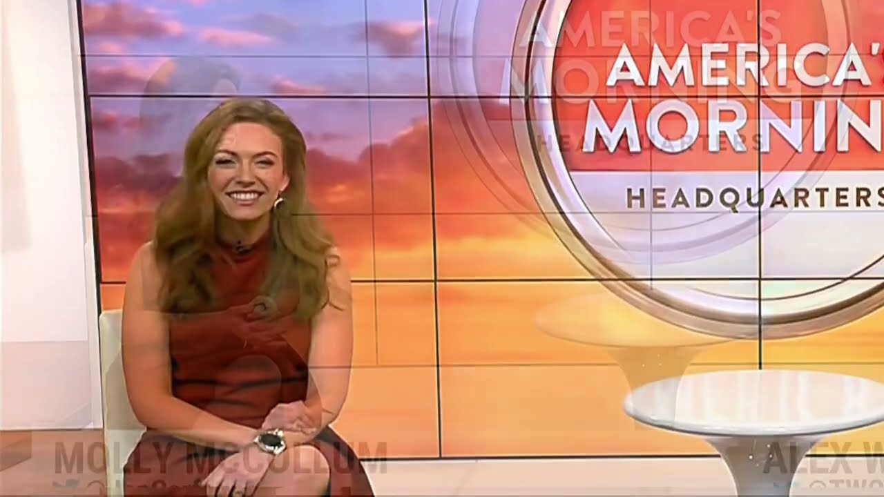 Molly McCollum - 111221 Brown Dress - The Weather Channel - Profile ...