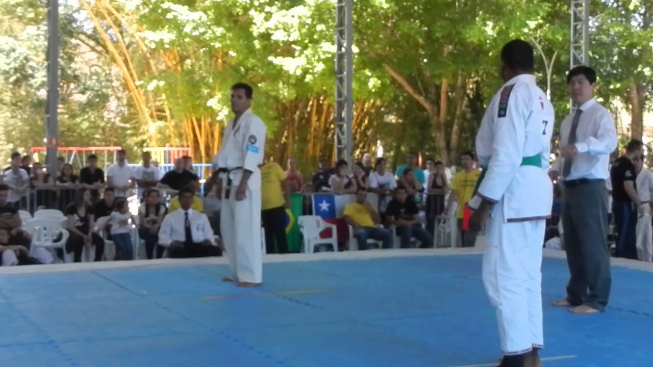 2º World Cup Karate Toeikan - Leandro Muniz (IFK Brazil) X Lucas Seki ...
