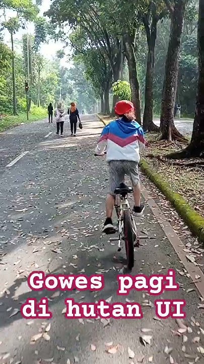 Gowes Pagi di hutan UI #classicalmusic - YouTube