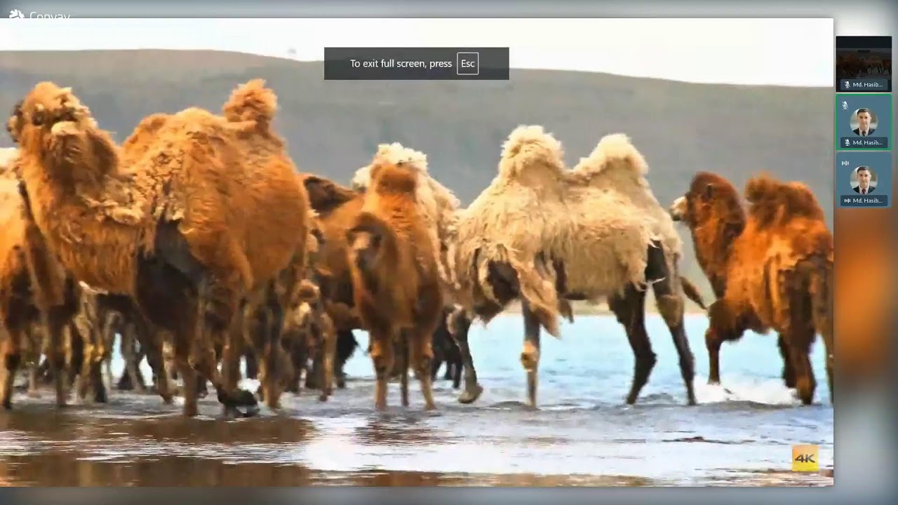 Nazmul Islam Emon Live Stream - YouTube