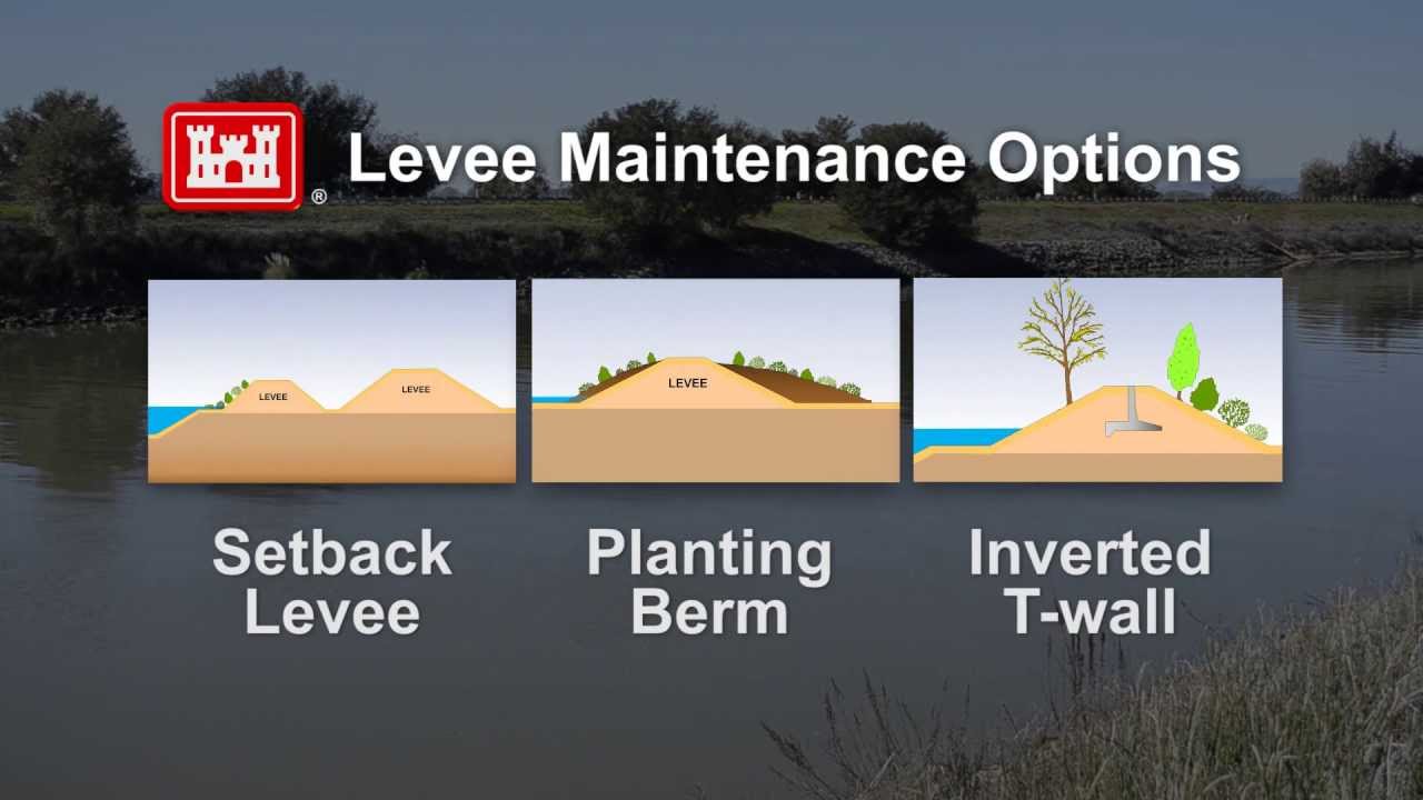 Levee Safety in California's Central Valley: Levee Vegetation - YouTube