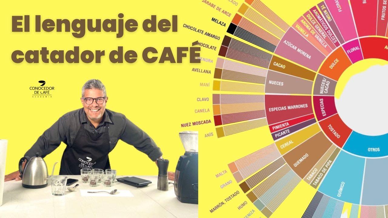 ¿Es importante manejar la herramienta de la Rueda de Sabores del café ...